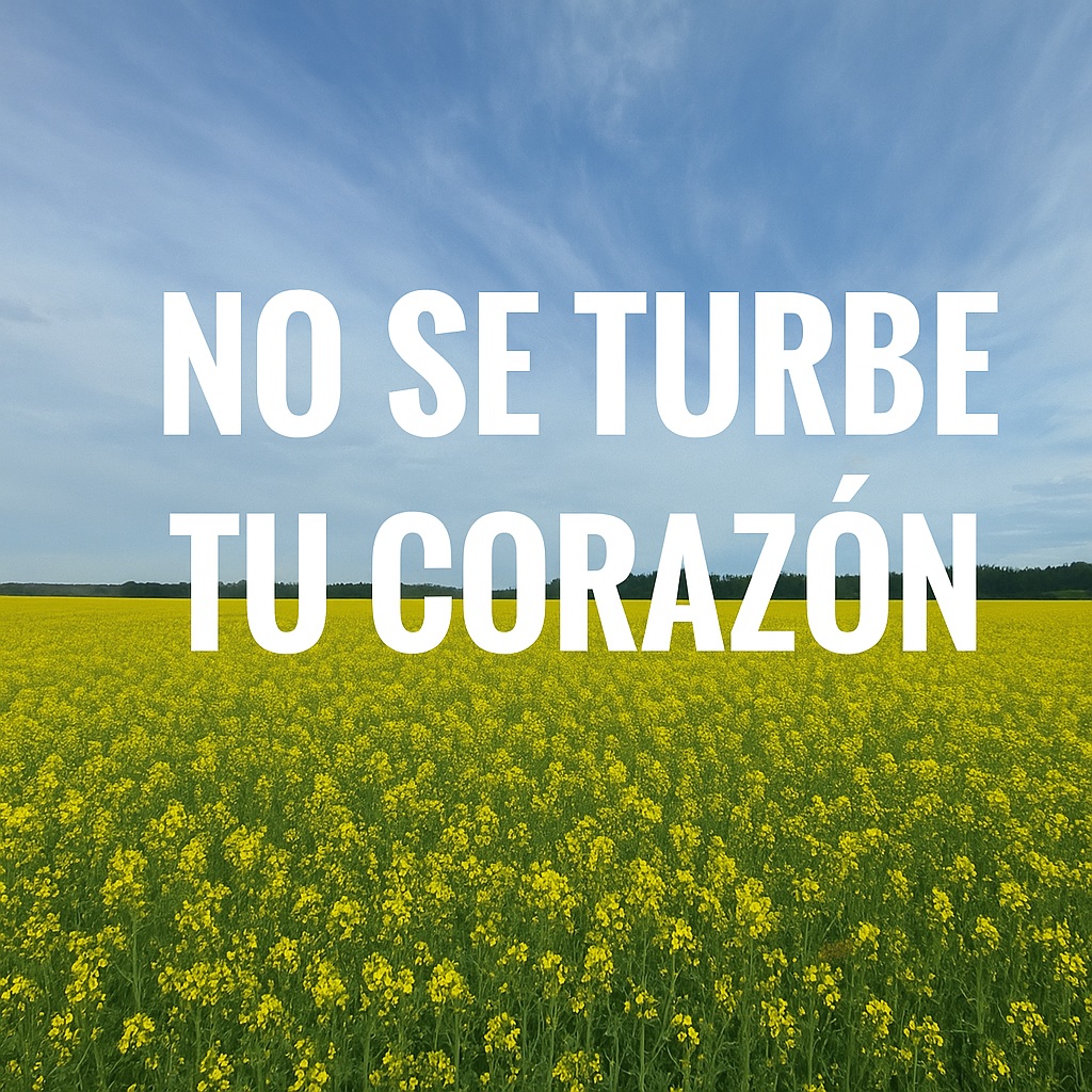 No se turbe vuestro corazón - Scriptural Nuggets